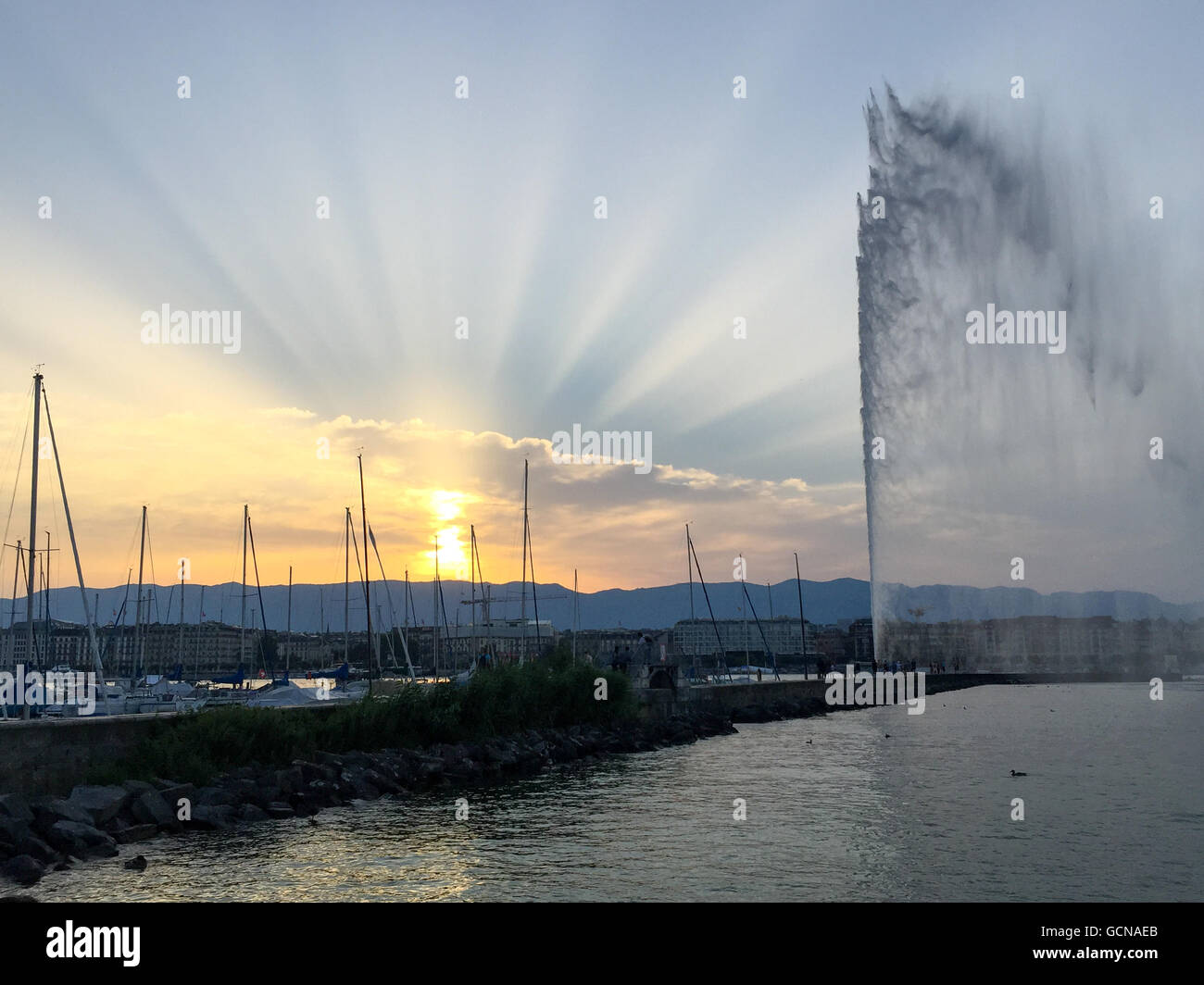 Ador hi-res stock photography and images - Alamy