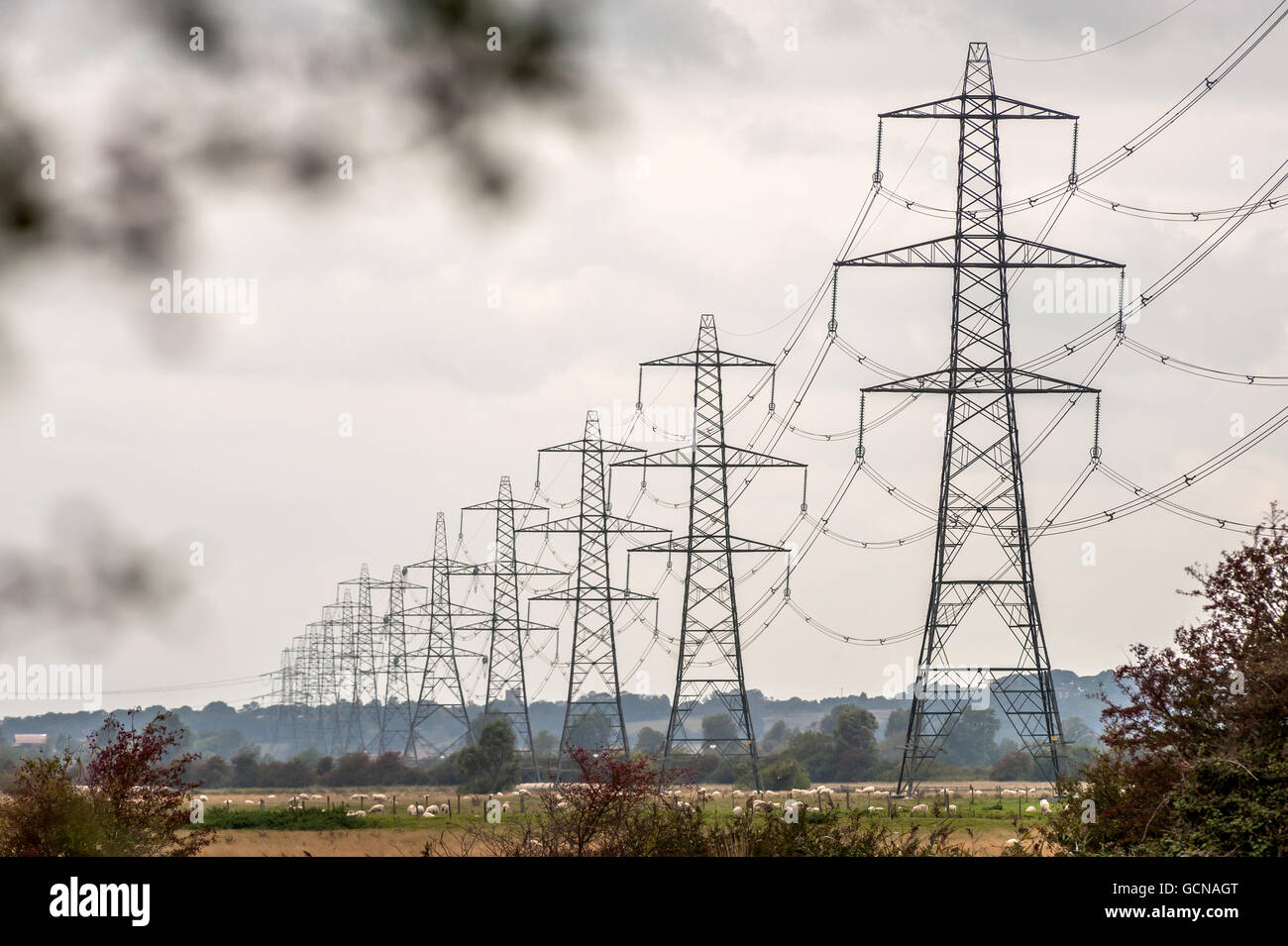 Group of pylons hi-res stock photography and images - Alamy