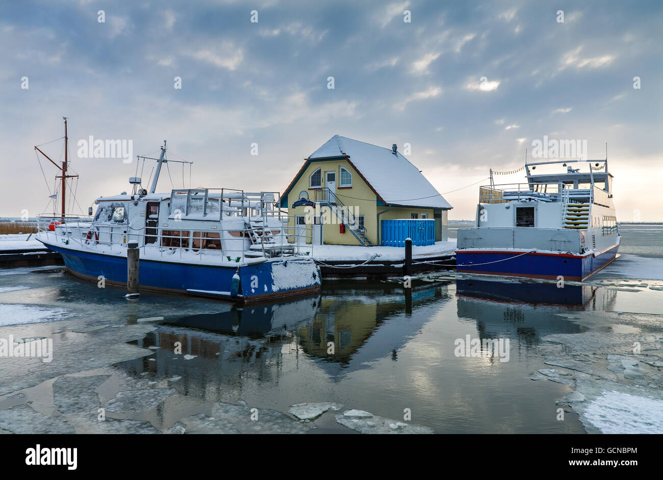 House the dolphins hi-res stock photography and images - Alamy