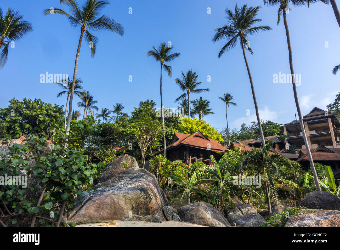 Coral Cove Beach, Koh Samui, Thailand, Asia Stock Photo - Alamy