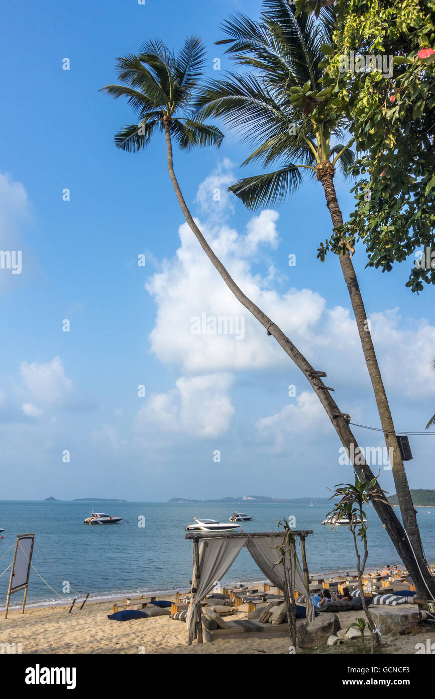 Bo Phut Beach, Ko Samui, Thailand, Asia Stock Photo - Alamy