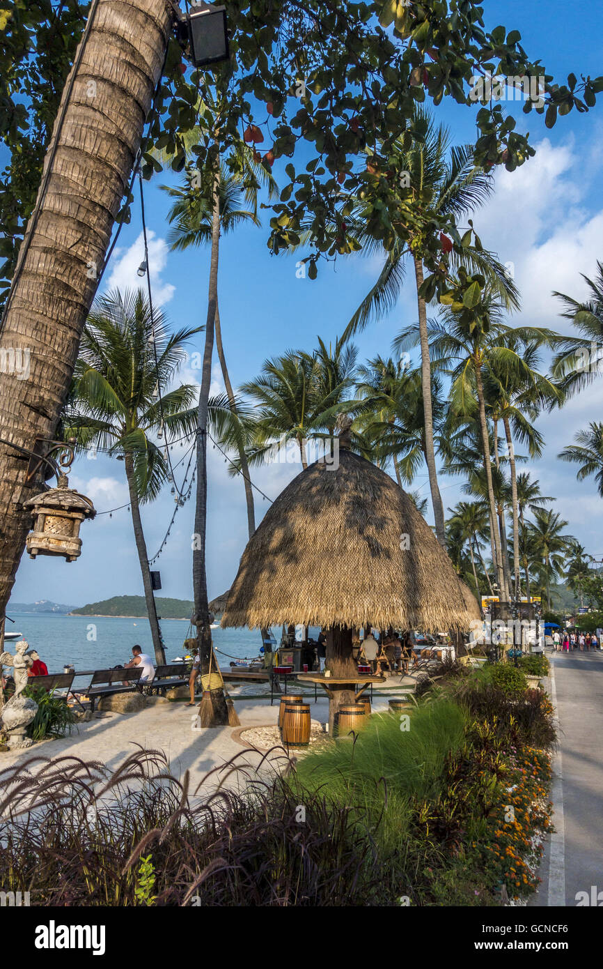 Bo Phut Beach, Ko Samui, Thailand, Asia Stock Photo - Alamy