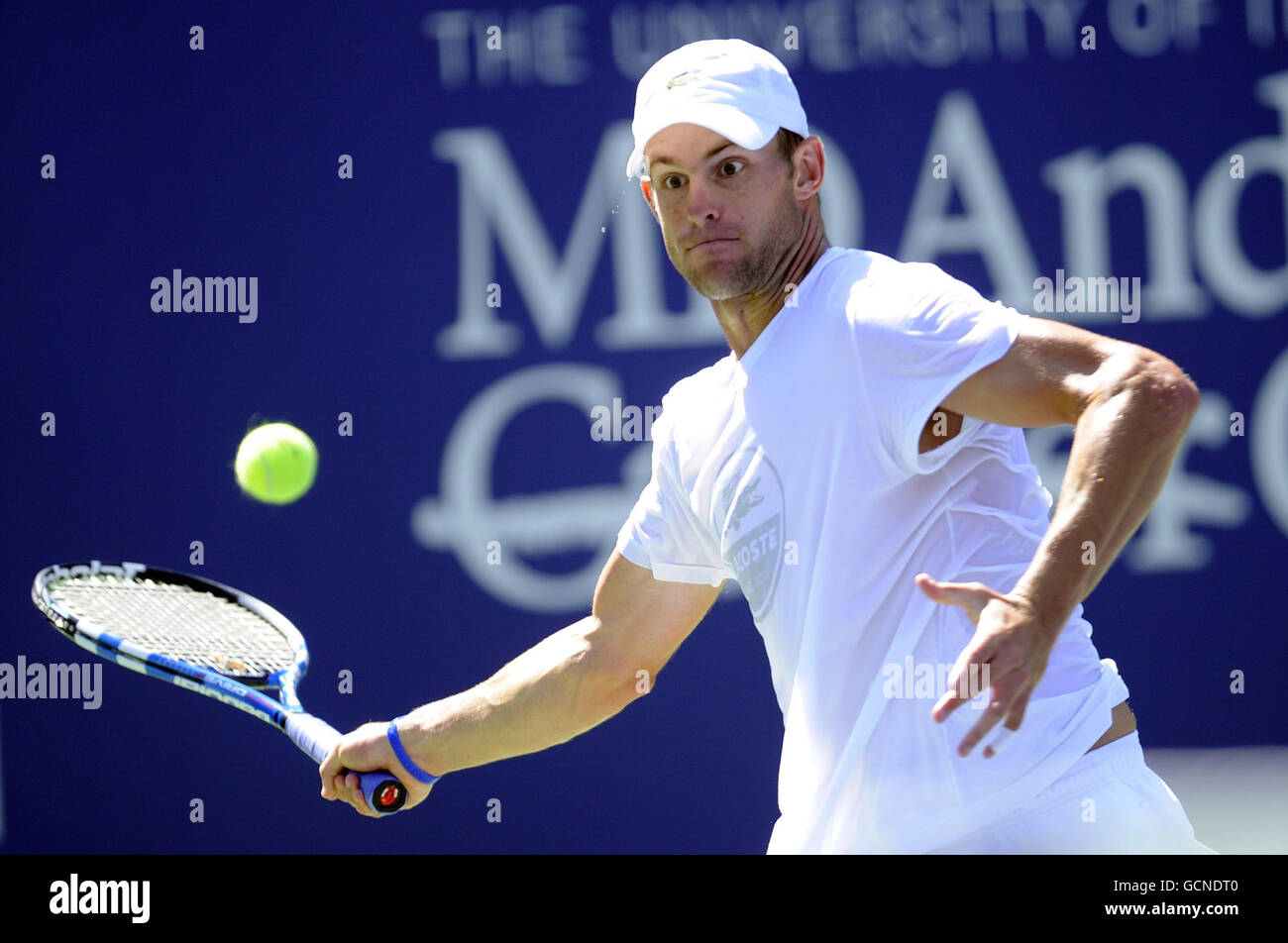 Andy Roddick Muscles