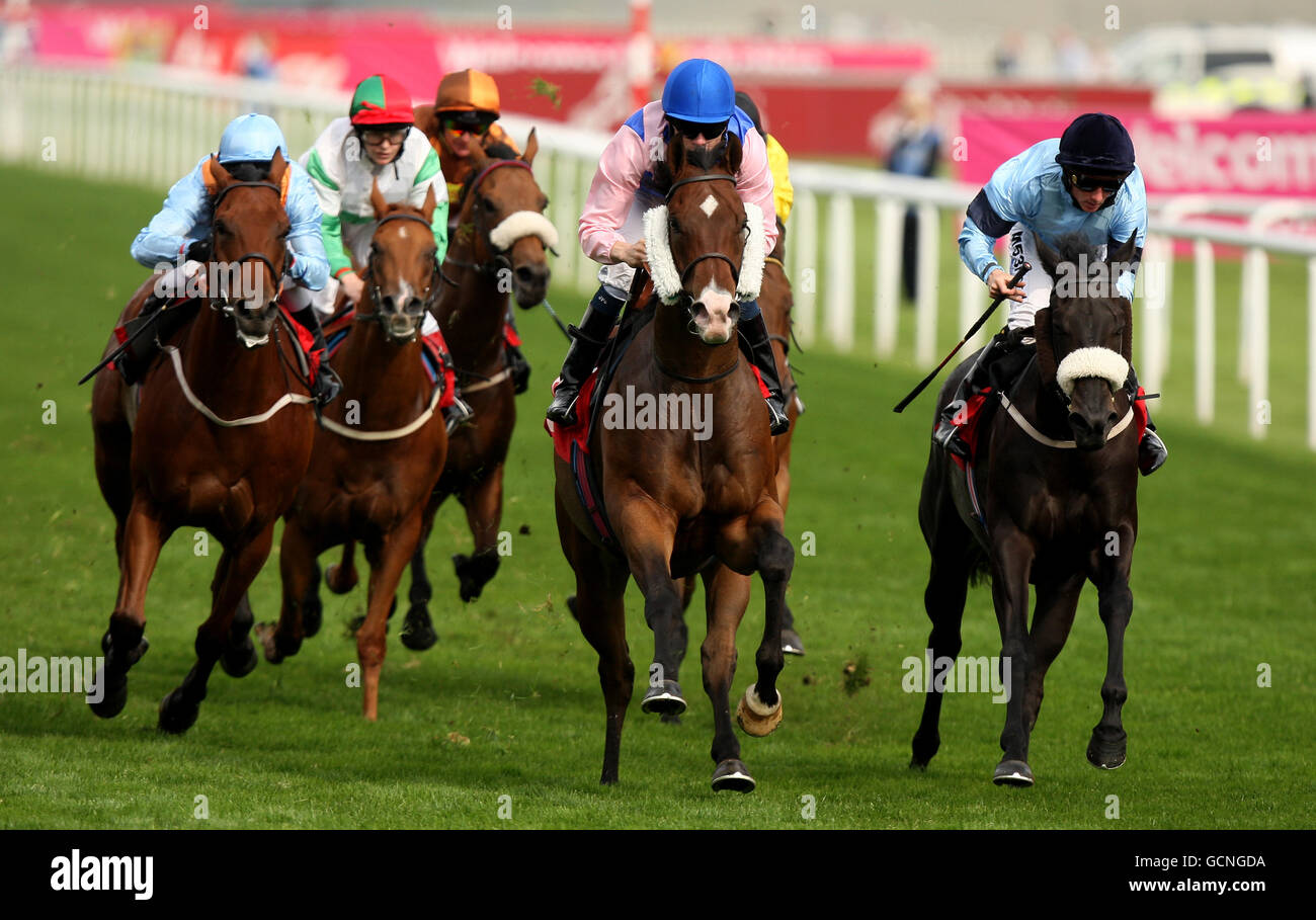 Prohibit blue cap hi-res stock photography and images - Alamy