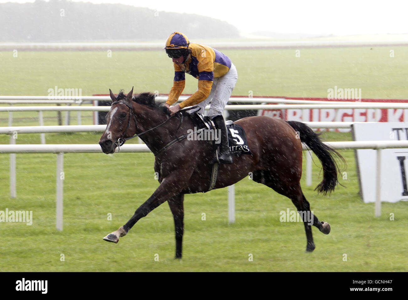 On irish field st vincent obrien national day curragh racecourse hi-res ...