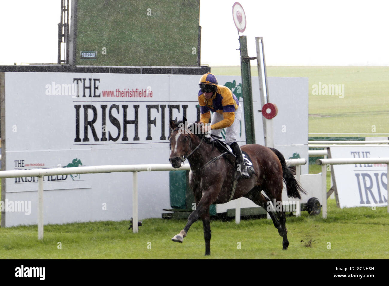 Irish admiral horse racing hi-res stock photography and images - Alamy