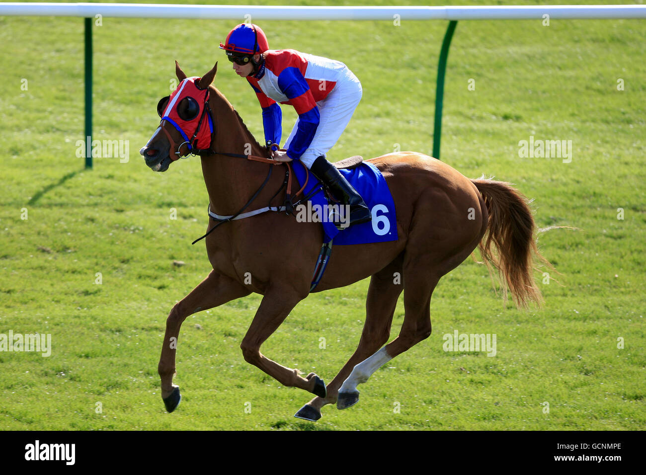 Jockey Michael Geran on Indian Trail goes to post in the Bam Properties ...