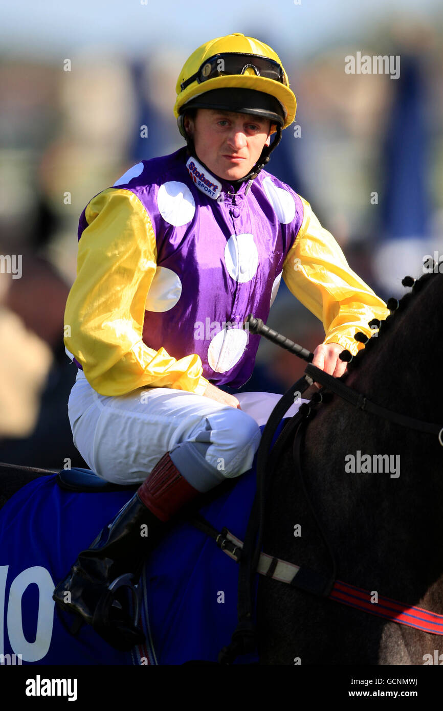 Horse Racing - William Hill Gold Cup Festival - Day Two - Ayr ...