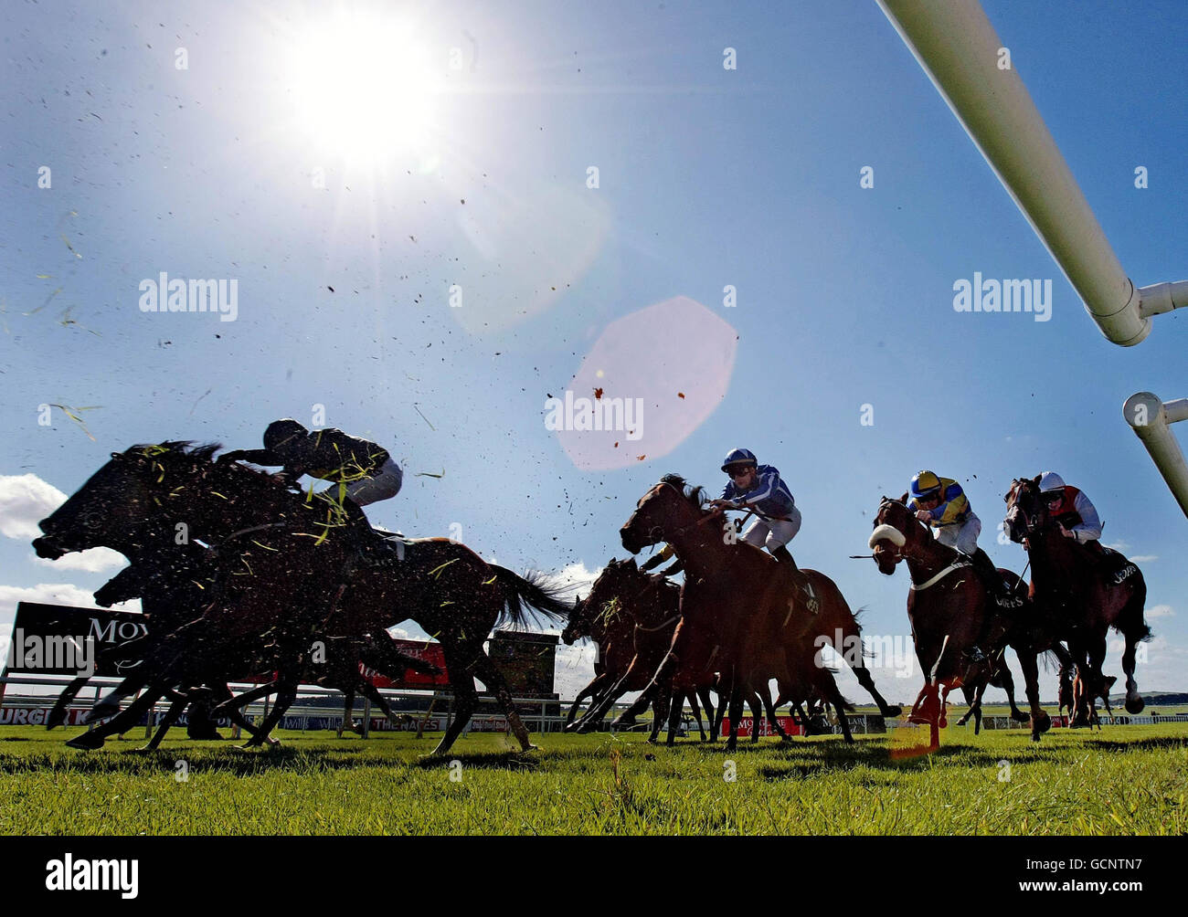 General view of the goffs flying five at curragh racecourse hi-res ...