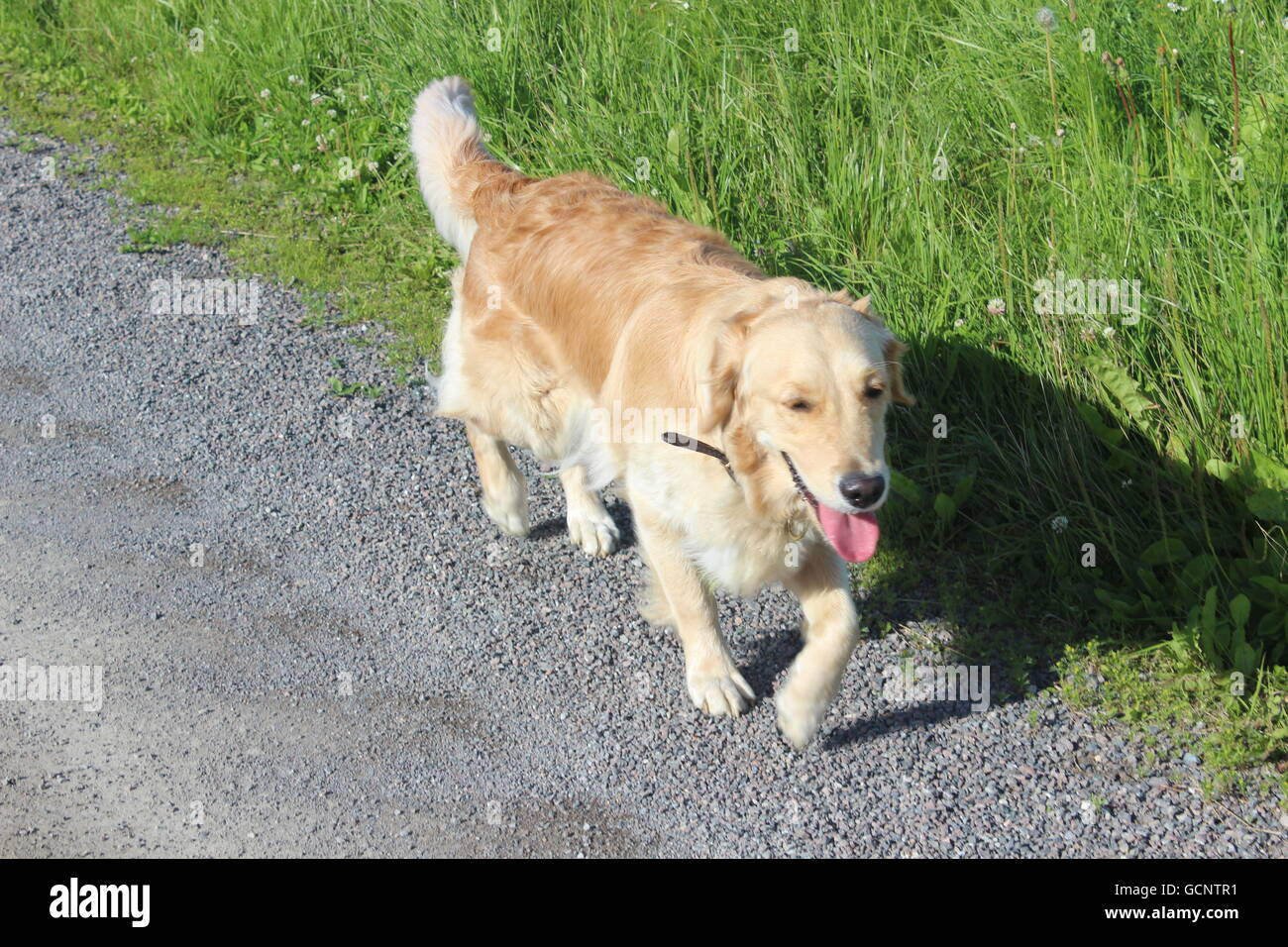 Playing Field Road High Resolution Stock Photography and Images - Alamy
