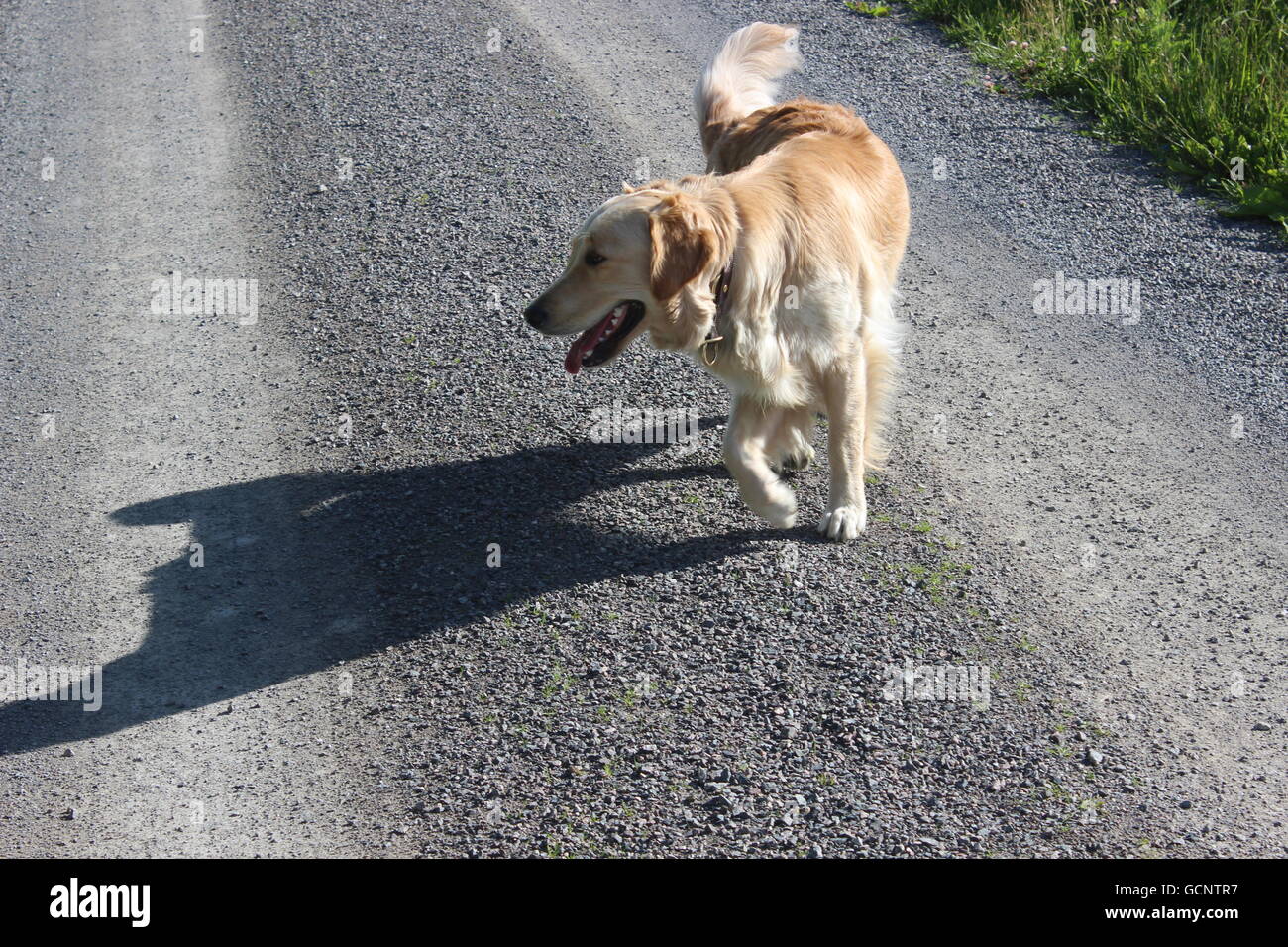 Playing field road hi-res stock photography and images - Alamy