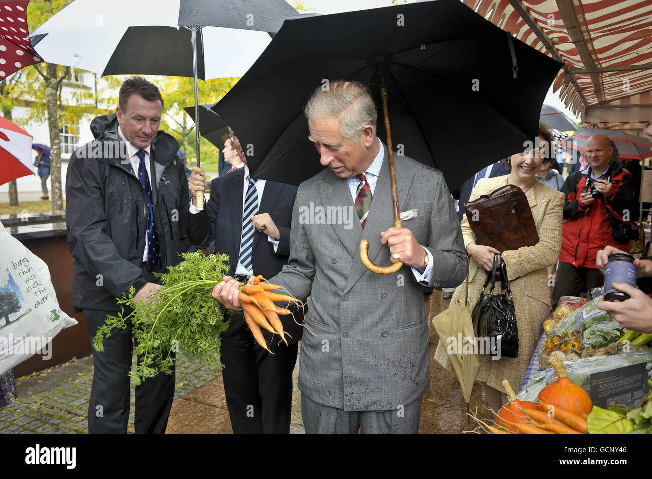 Sustainable living initiative START Stock Photo - Alamy