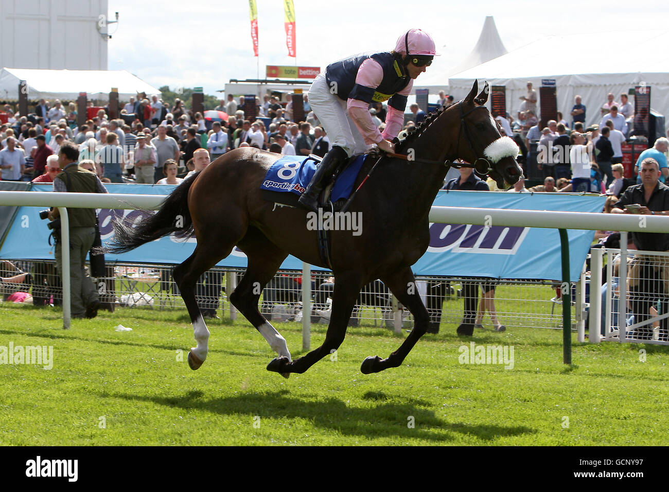 Horse racing ebor festival juddmonte international york racecourse hi ...