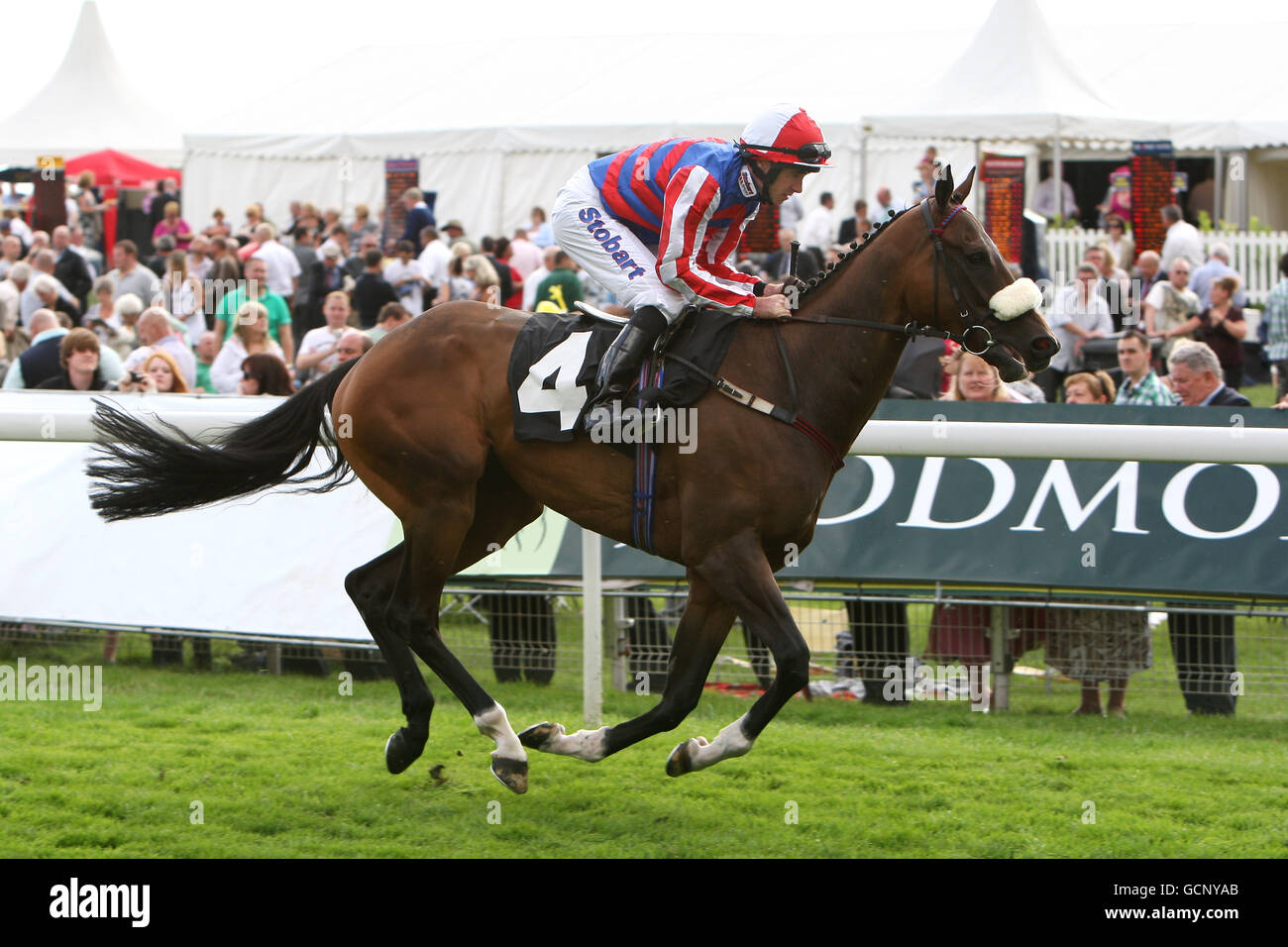 Horse Racing - Ebor Festival - Juddmonte International - York ...