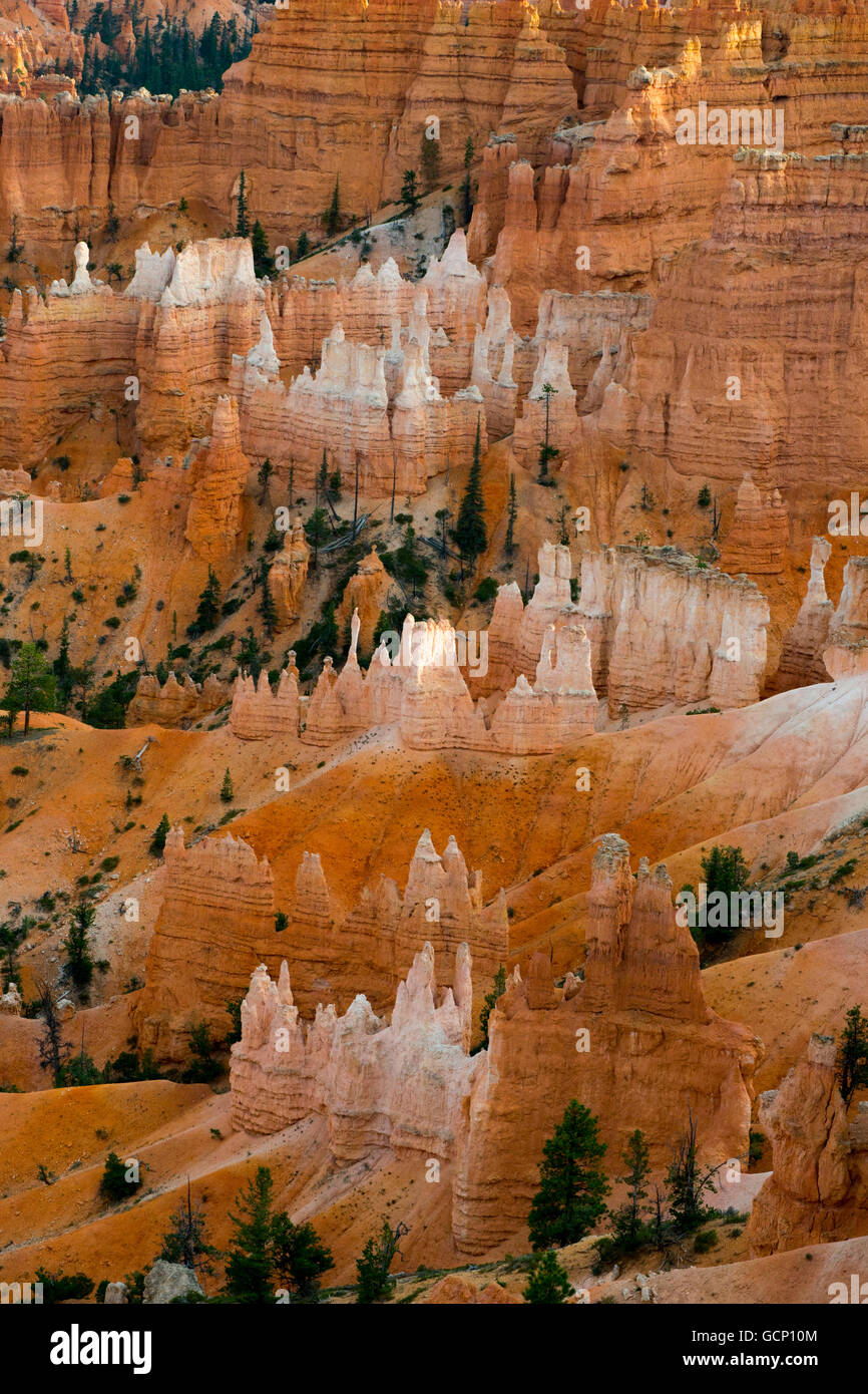 Bryce canyon national park amazing hi-res stock photography and images ...