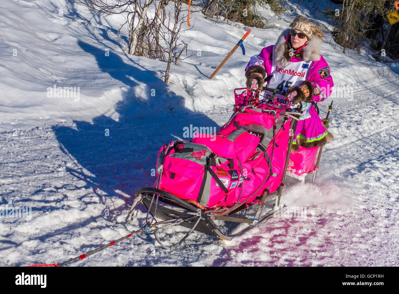 DeeDee Jonrowe and team run down the trail on Long Lake shortly after ...