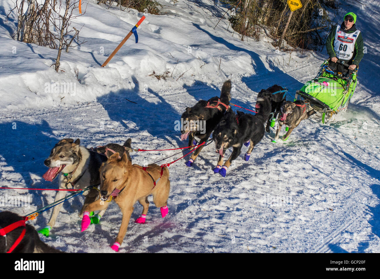 Ryan redington iditarod hi-res stock photography and images - Alamy