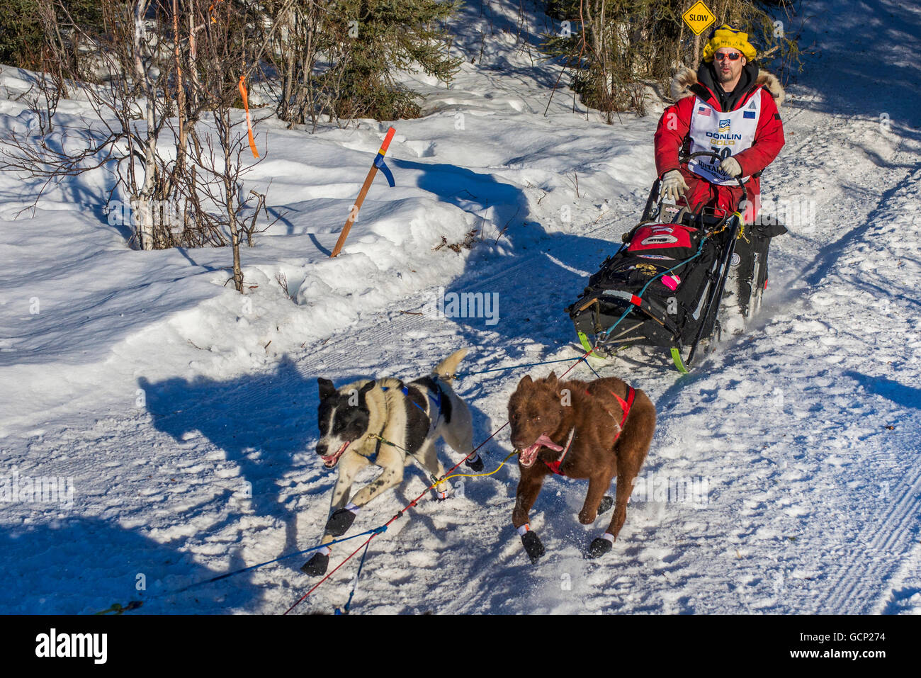 Hugh animals hi-res stock photography and images - Alamy