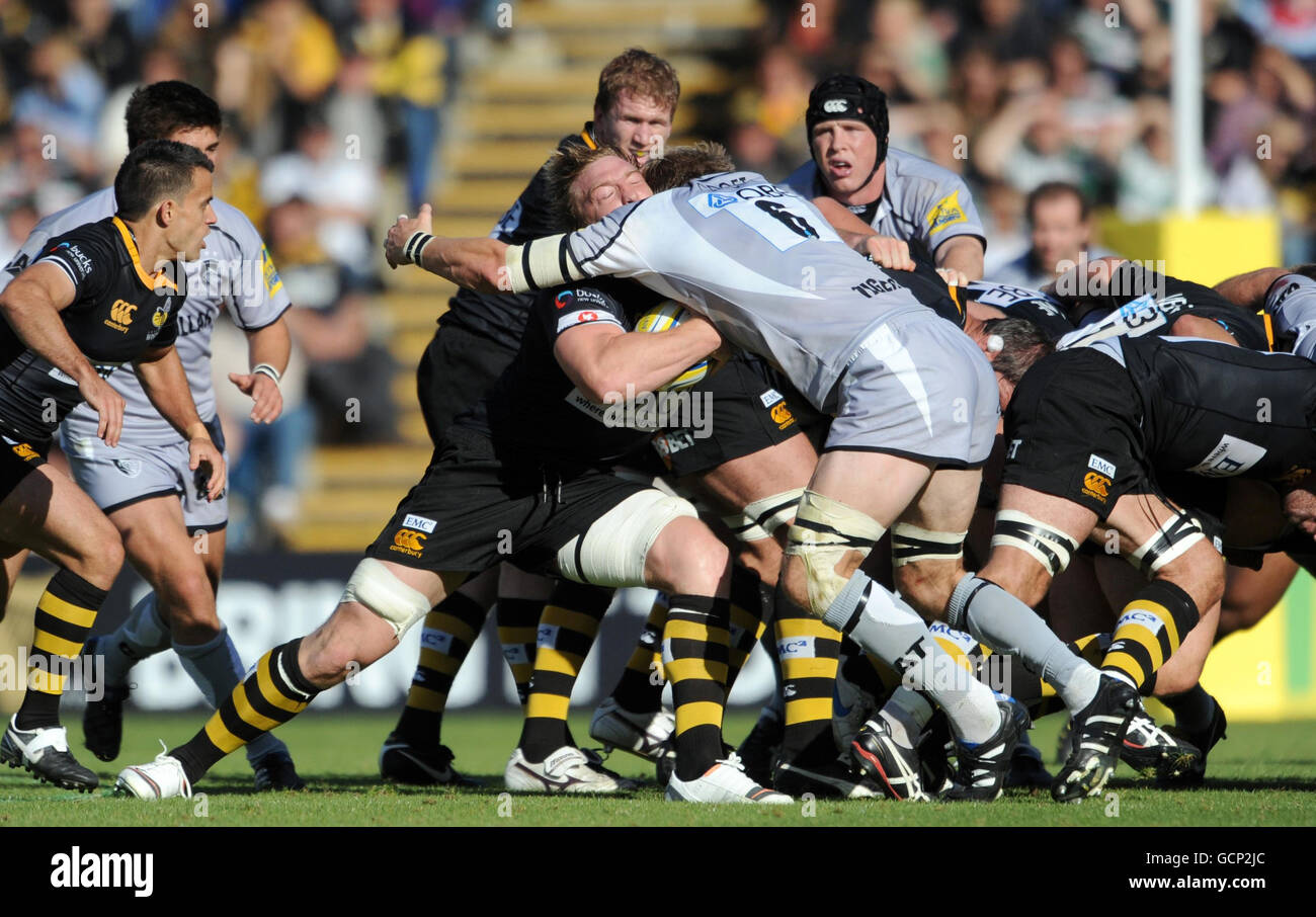 Rugbyu wasps full length tackling ball mangrr hi-res stock photography ...