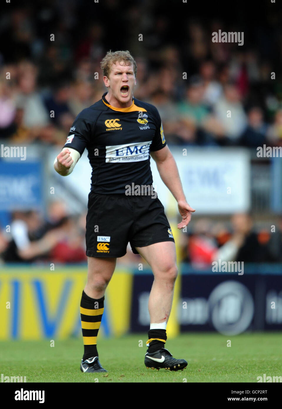 Rugbyu wasps full length fist celebrating mangrr hi-res stock ...