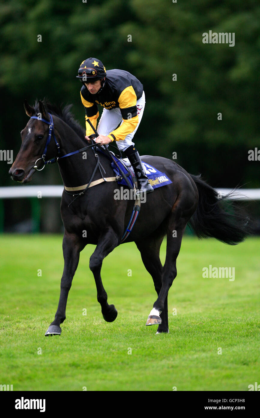 Jockey ted durcan going hi-res stock photography and images - Alamy