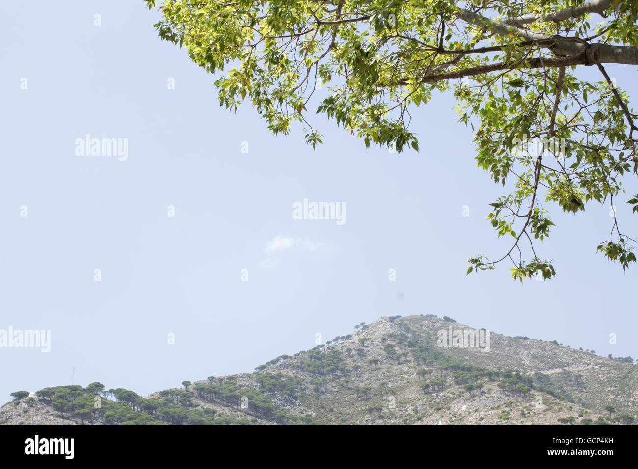 Overlaying hi-res stock photography and images - Alamy