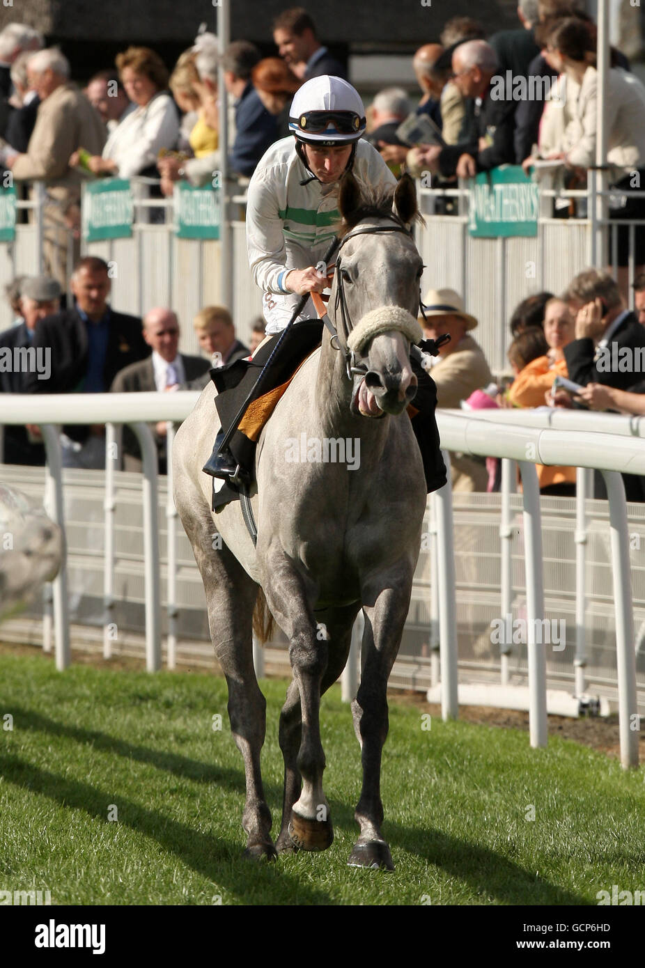 Horse Racing - Yorkshire Ebor Festival - totesport Ebor Day - York ...