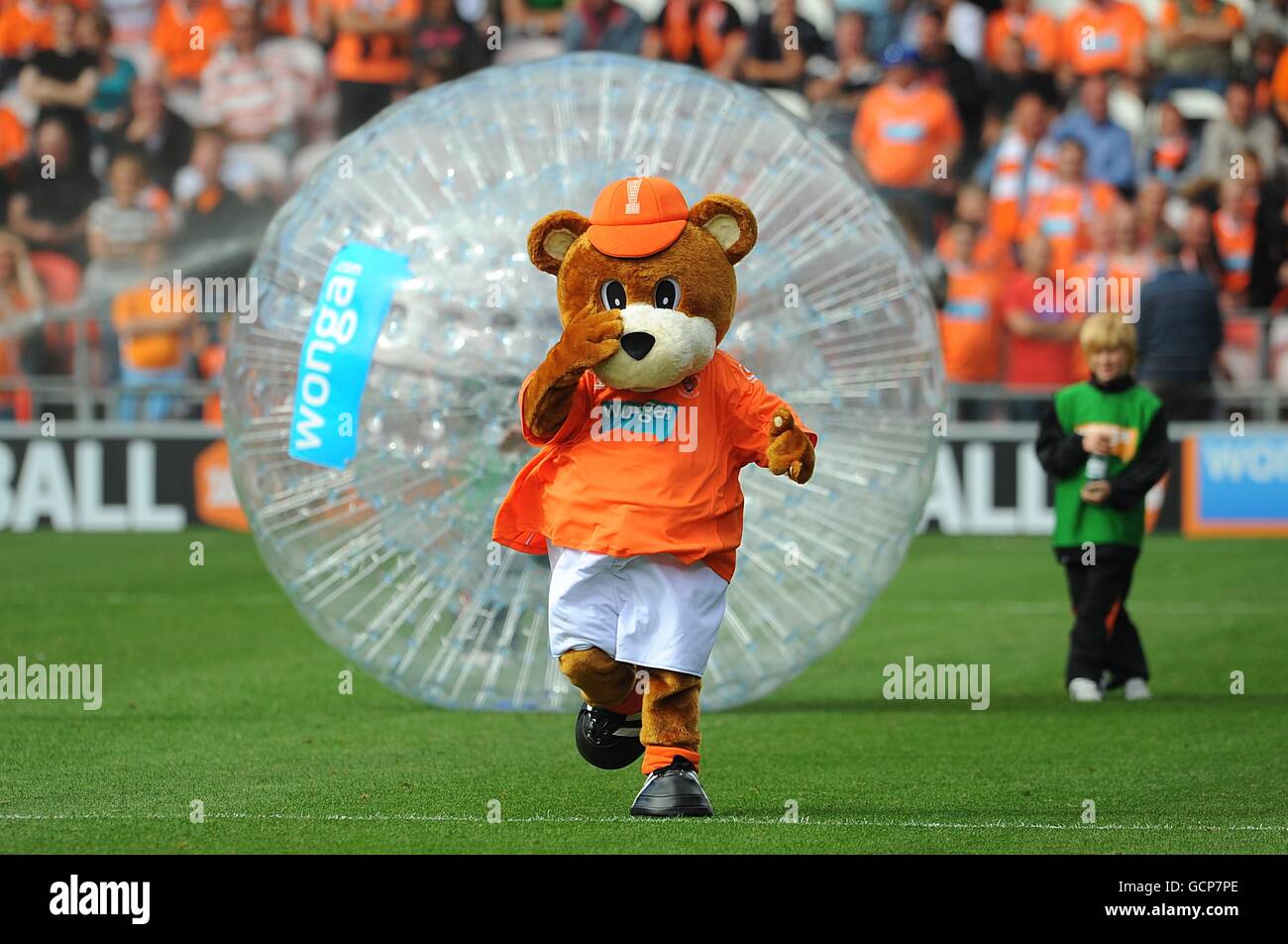 The blackpool mascot bloomfield bear hi-res stock photography and ...