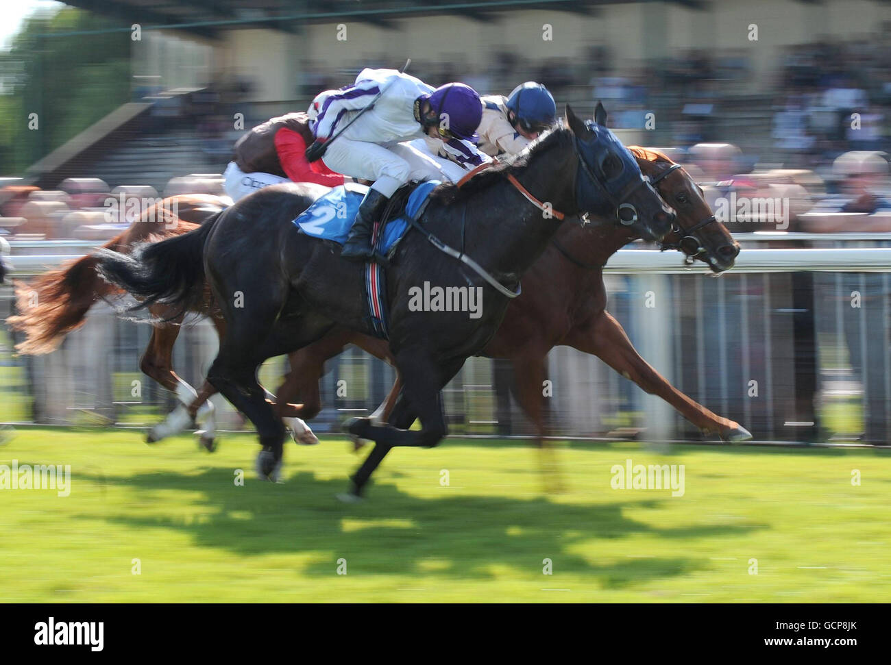 Ripon racecourse hi-res stock photography and images - Alamy