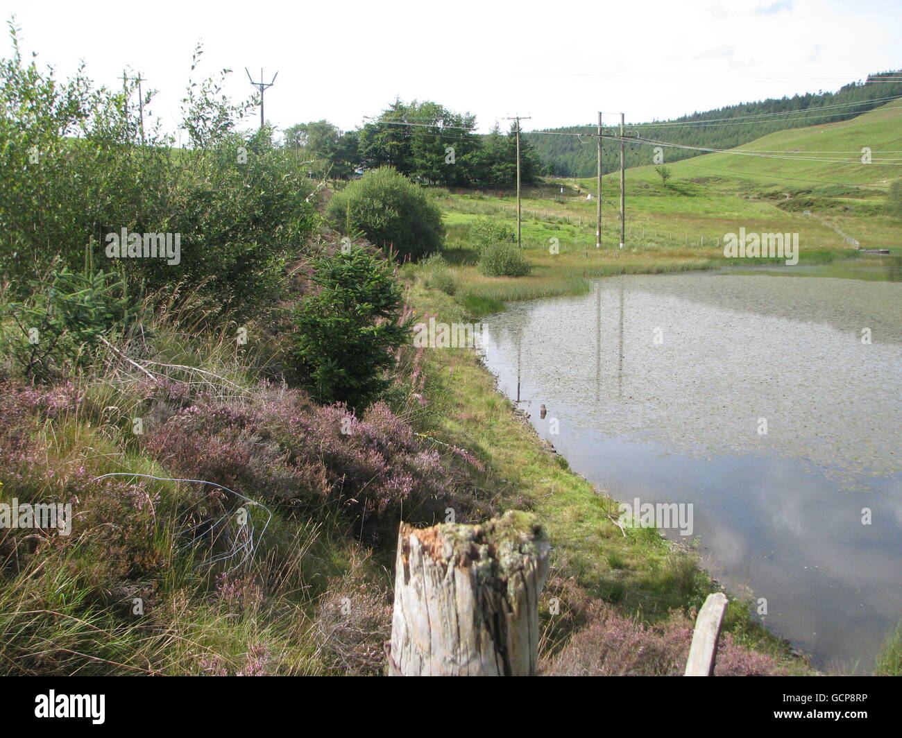 A44 aberystwyth hi-res stock photography and images - Alamy