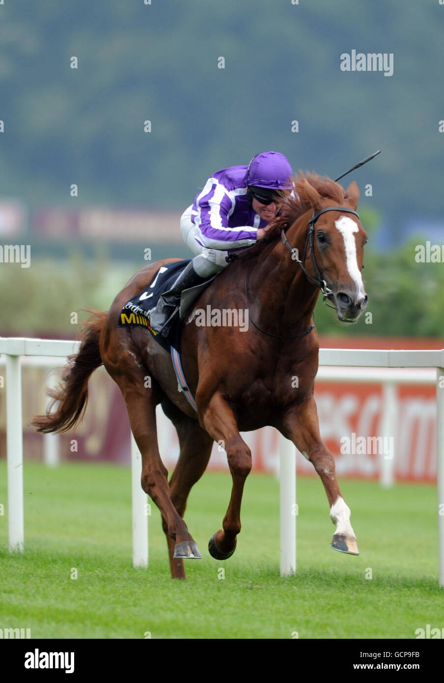 Jockey James Heffernan rides Cape Blanco to victory in the Tattersalls ...