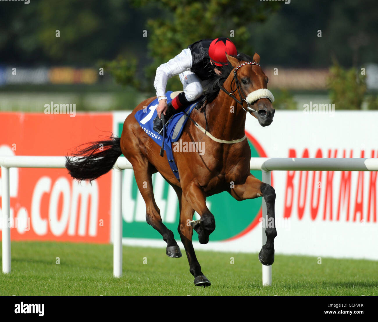Jockey Pat Smullen rides A Word Apart to victory in the Irish Stallion ...