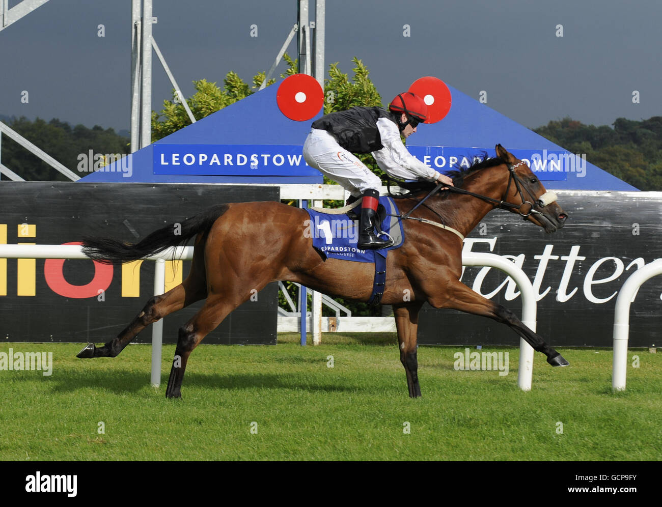 Jockey Pat Smullen rides A Word Apart to victory in the Irish Stallion ...