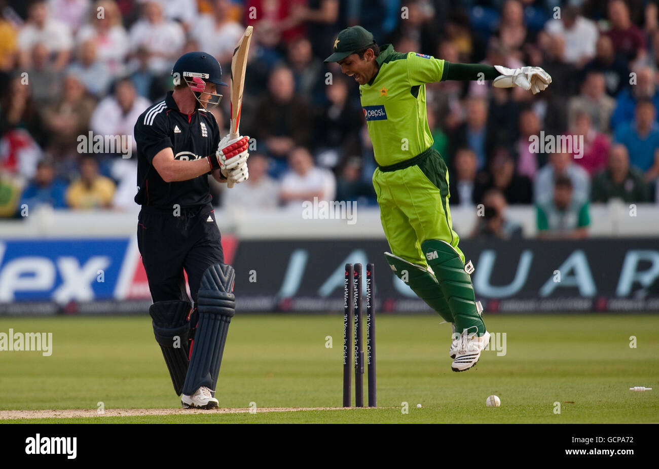 Wicketkeeper captain hi-res stock photography and images - Alamy