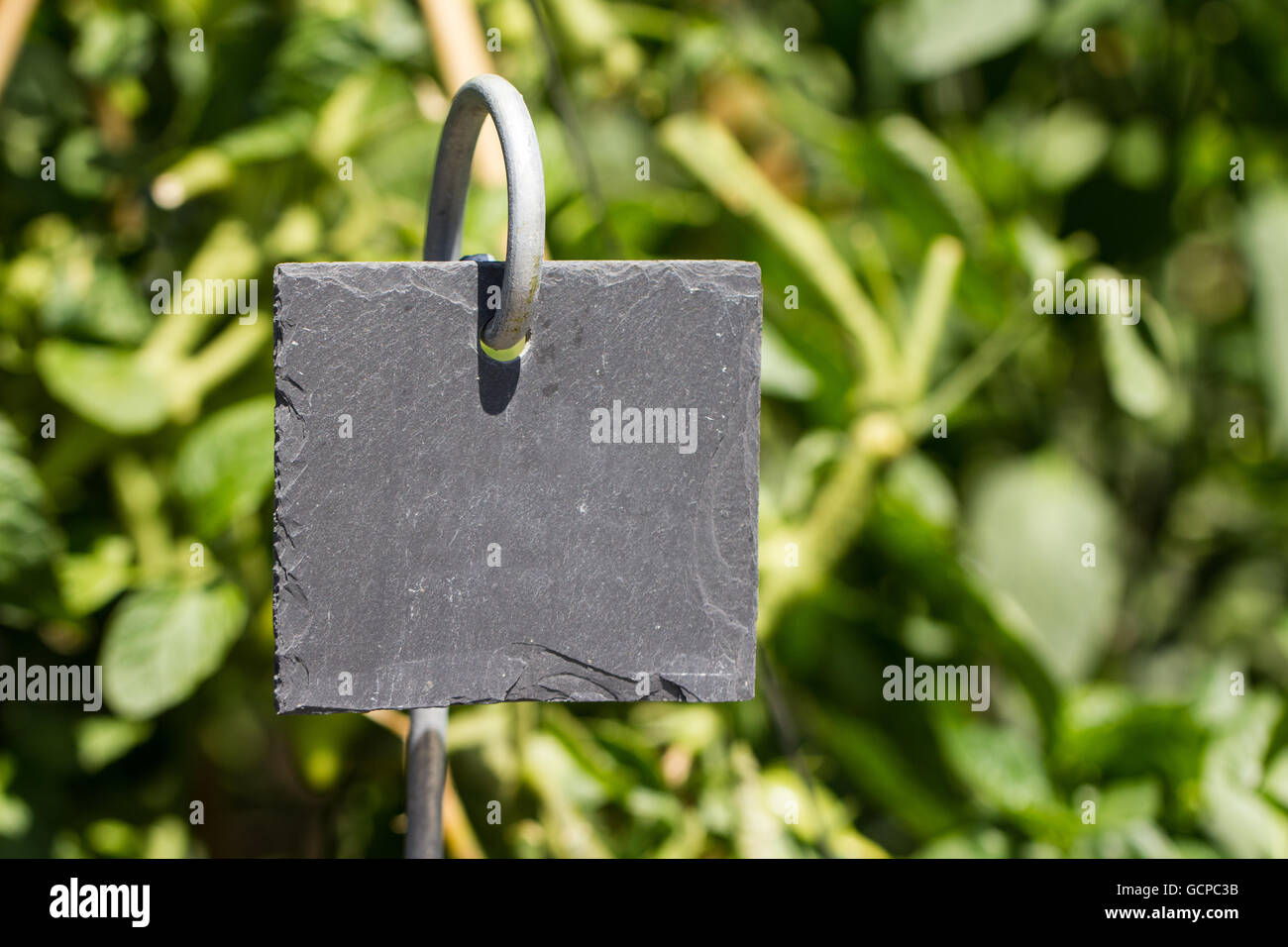 Editable label hi-res stock photography and images - Alamy