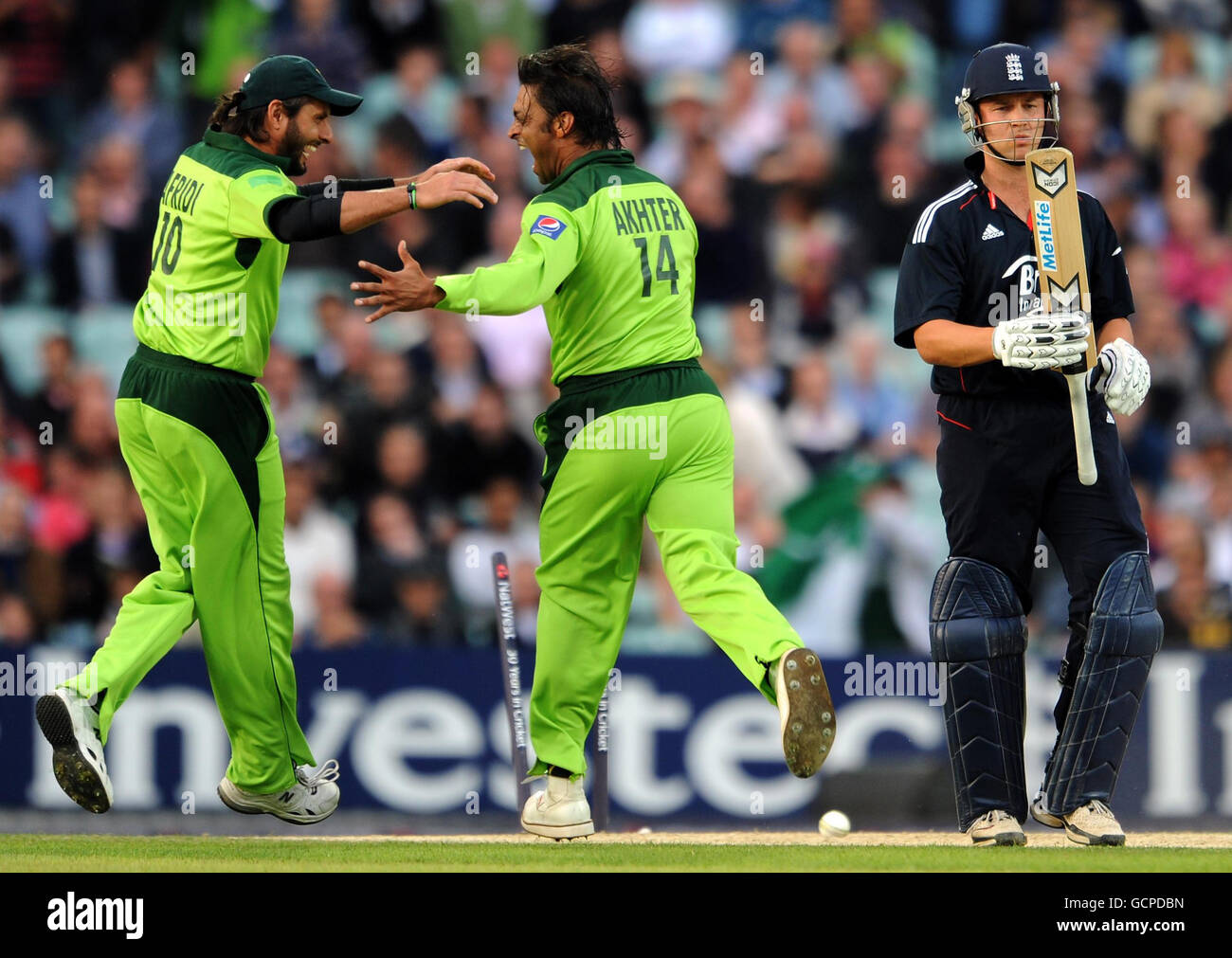 Shahid Afridi Cricketer Wallpapers