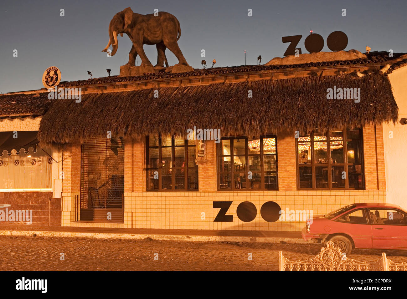 Zoo bar puerto vallarta hi-res stock photography and images - Alamy