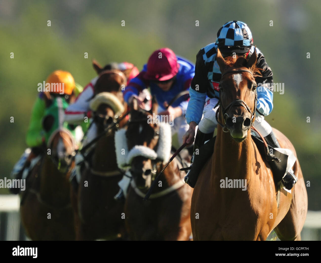 Copperwood hi-res stock photography and images - Alamy