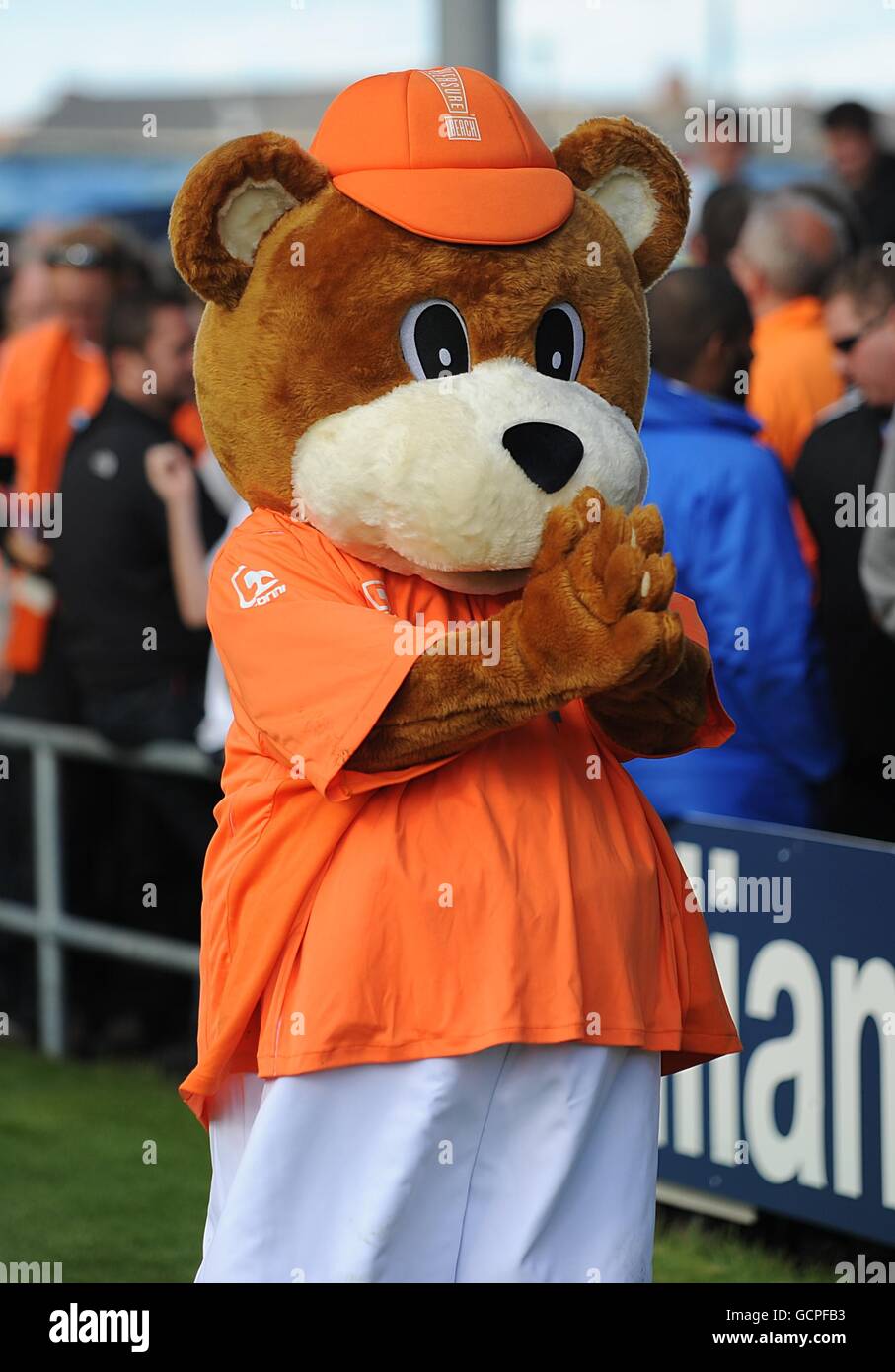 Blackpool mascot bloomfield bear greats fans at half time hi-res stock ...