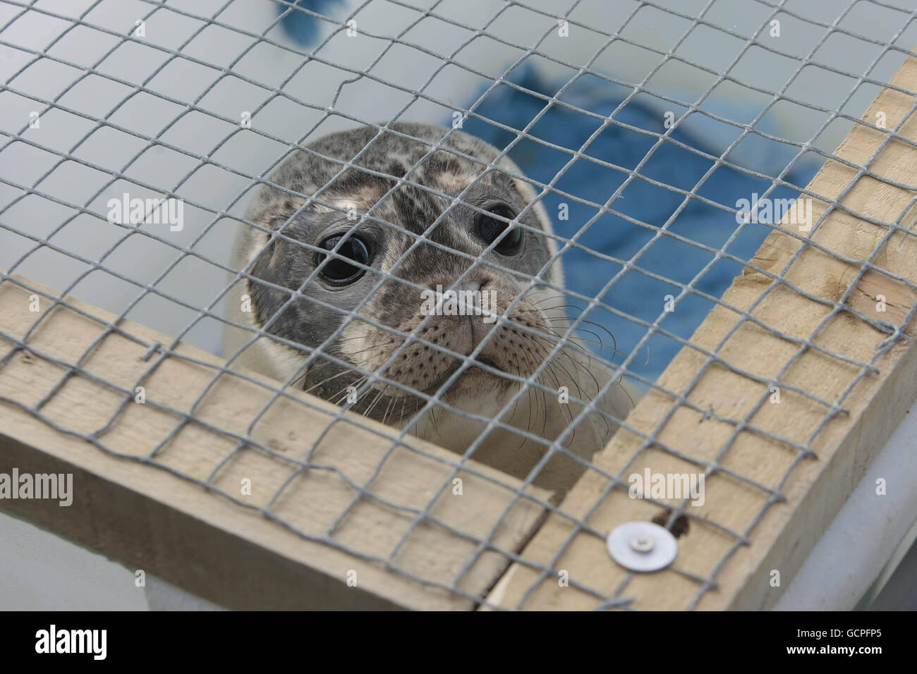 Seal and children hi-res stock photography and images - Alamy