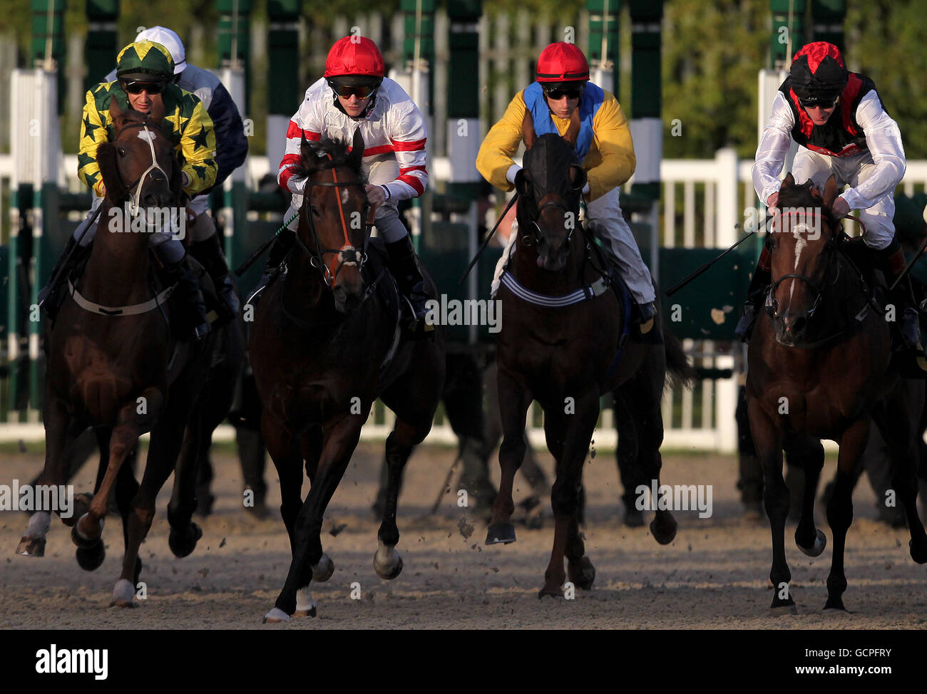 Horse Racing - Wolverhampton Racecourse Stock Photo - Alamy