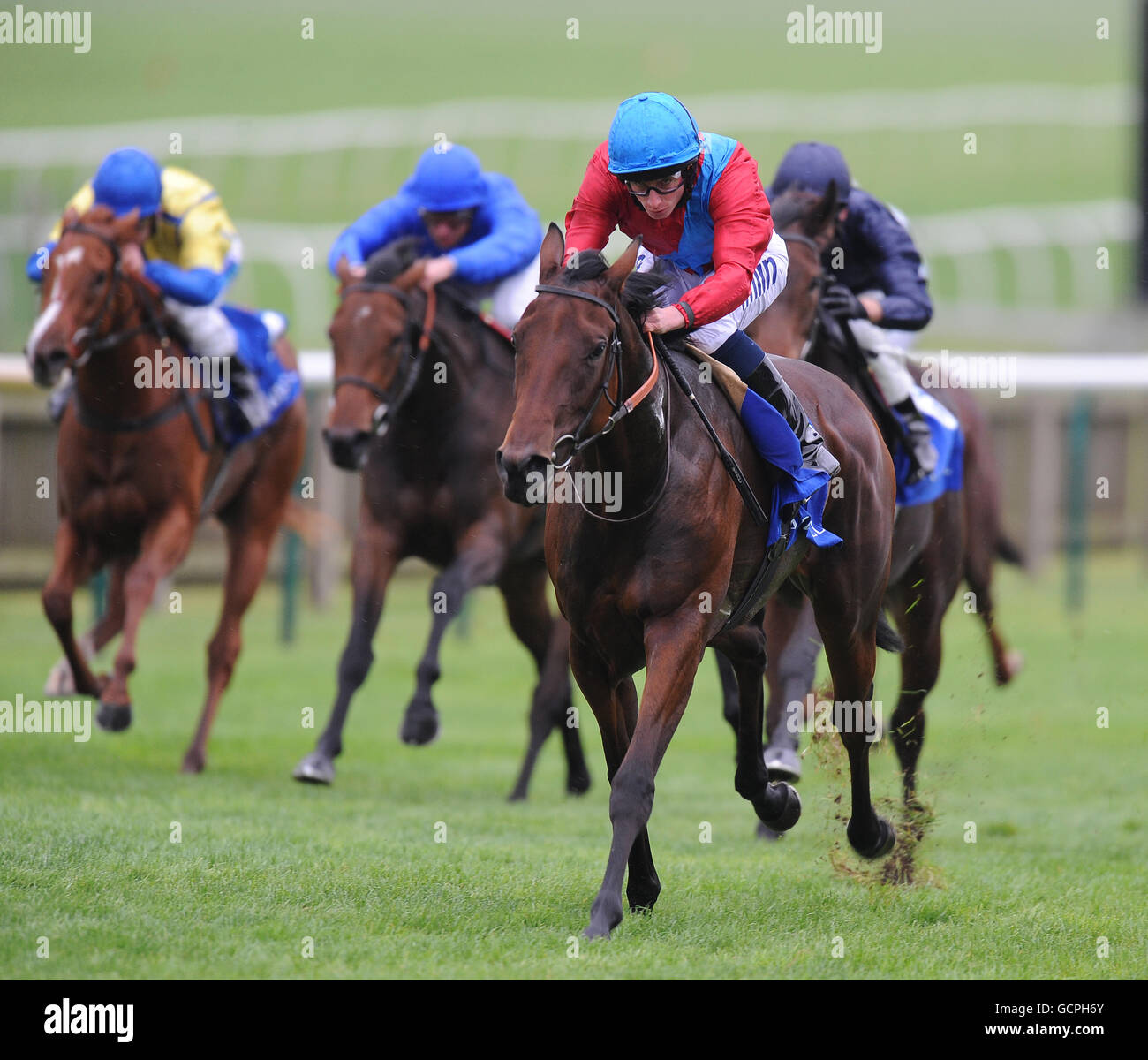 Oh so sharp horse hi-res stock photography and images - Alamy