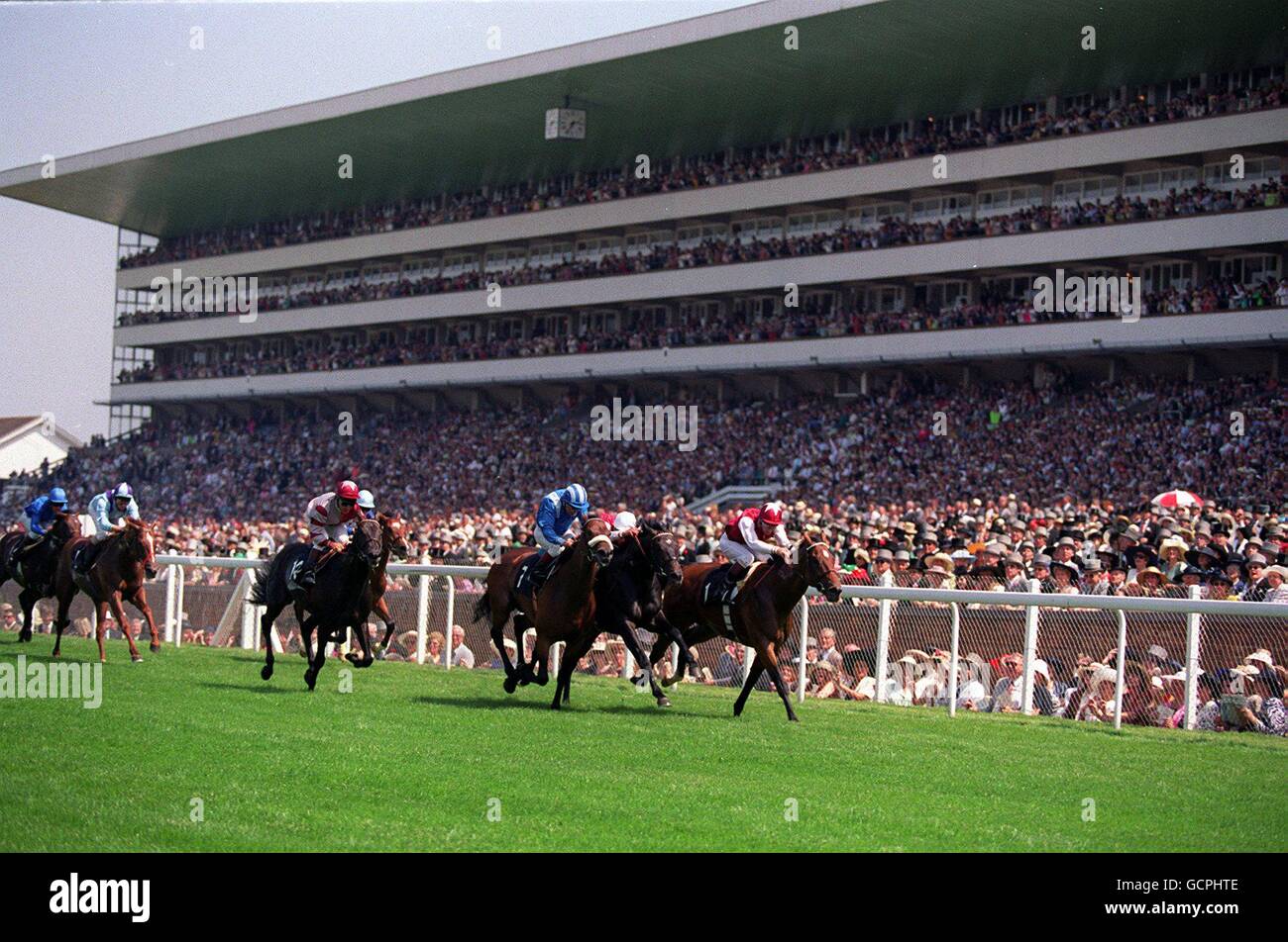 Royal ascot horses sunny hi-res stock photography and images - Alamy