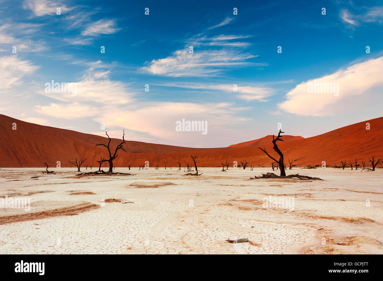 View of the Deadvlei in Namibia, Africa Stock Photo - Alamy