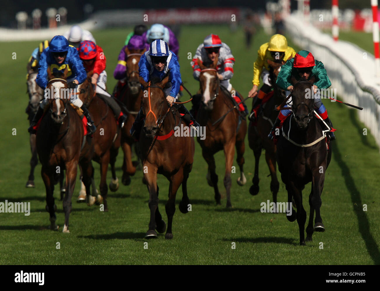 Eastern aria red cap hi-res stock photography and images - Alamy