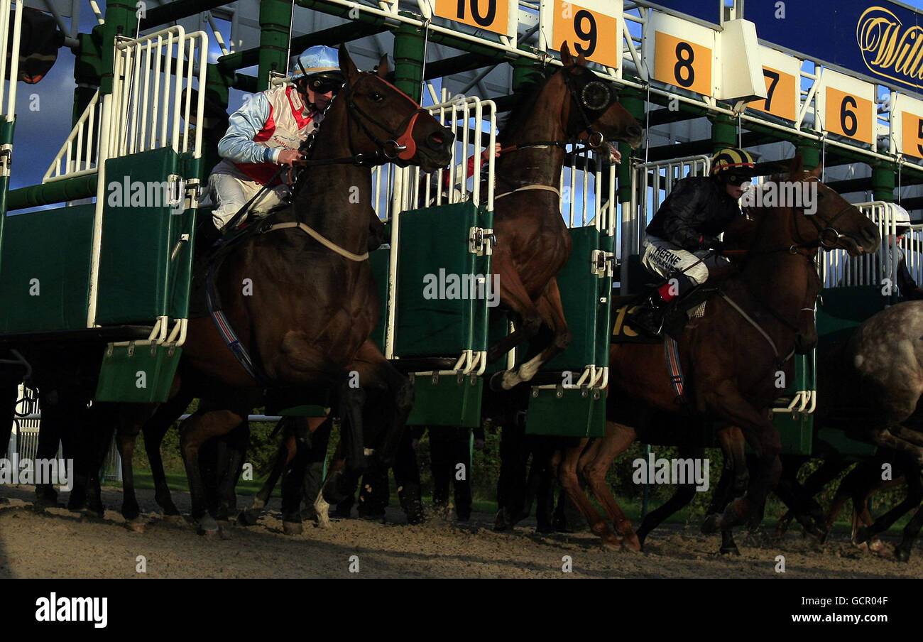 Horse Racing - Wolverhampton Racecourse Stock Photo - Alamy