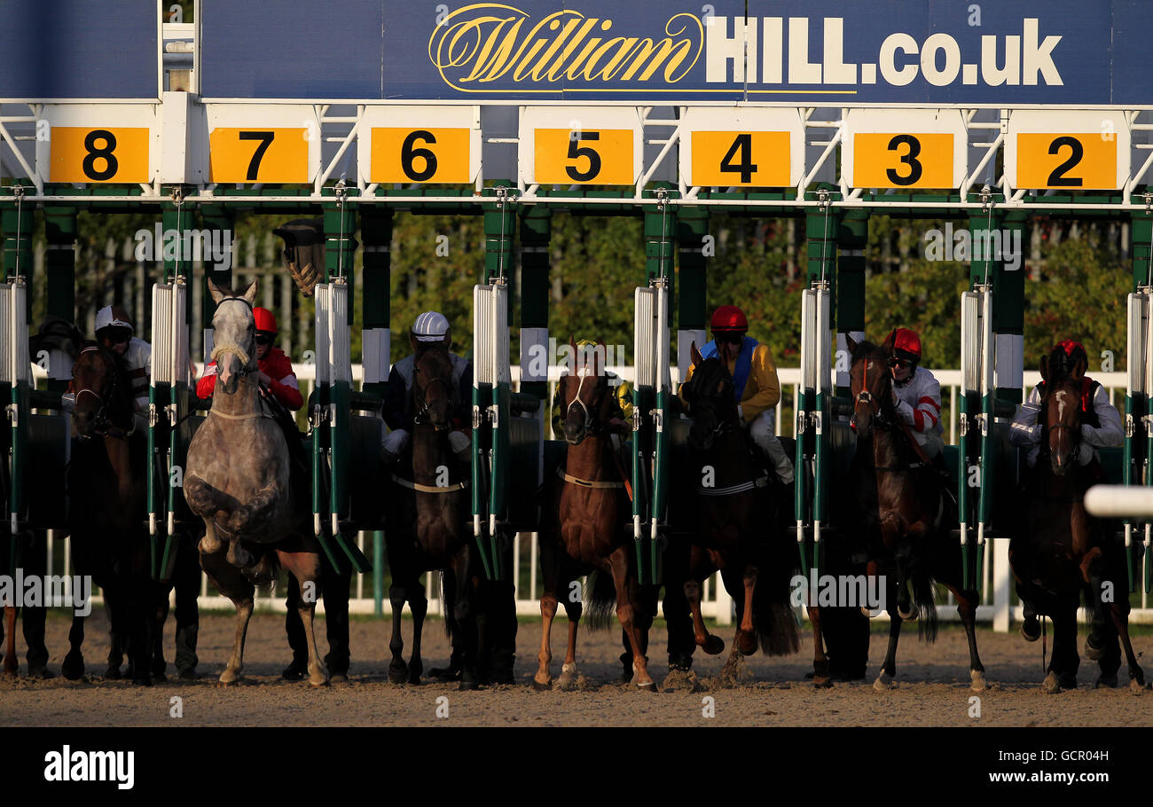 Horse Racing - Wolverhampton Racecourse Stock Photo - Alamy