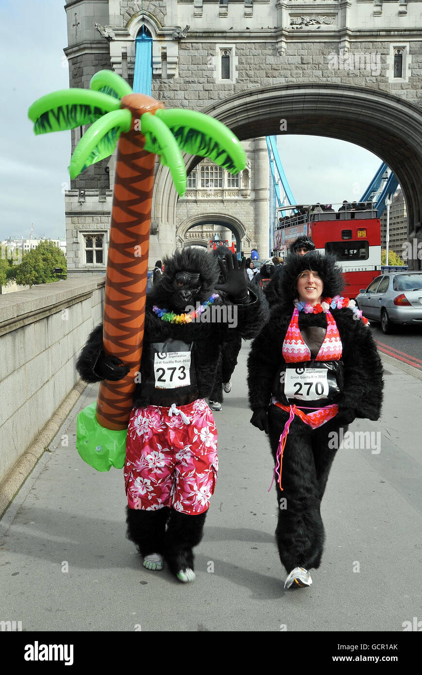 The Great Gorilla fun run Stock Photo - Alamy