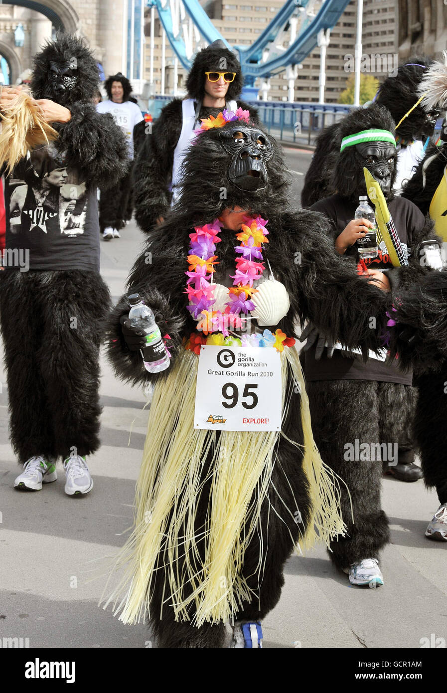 The Great Gorilla fun run Stock Photo - Alamy