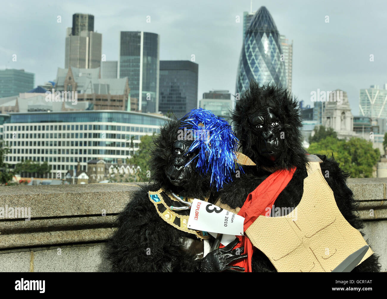 The Great Gorilla fun run Stock Photo - Alamy